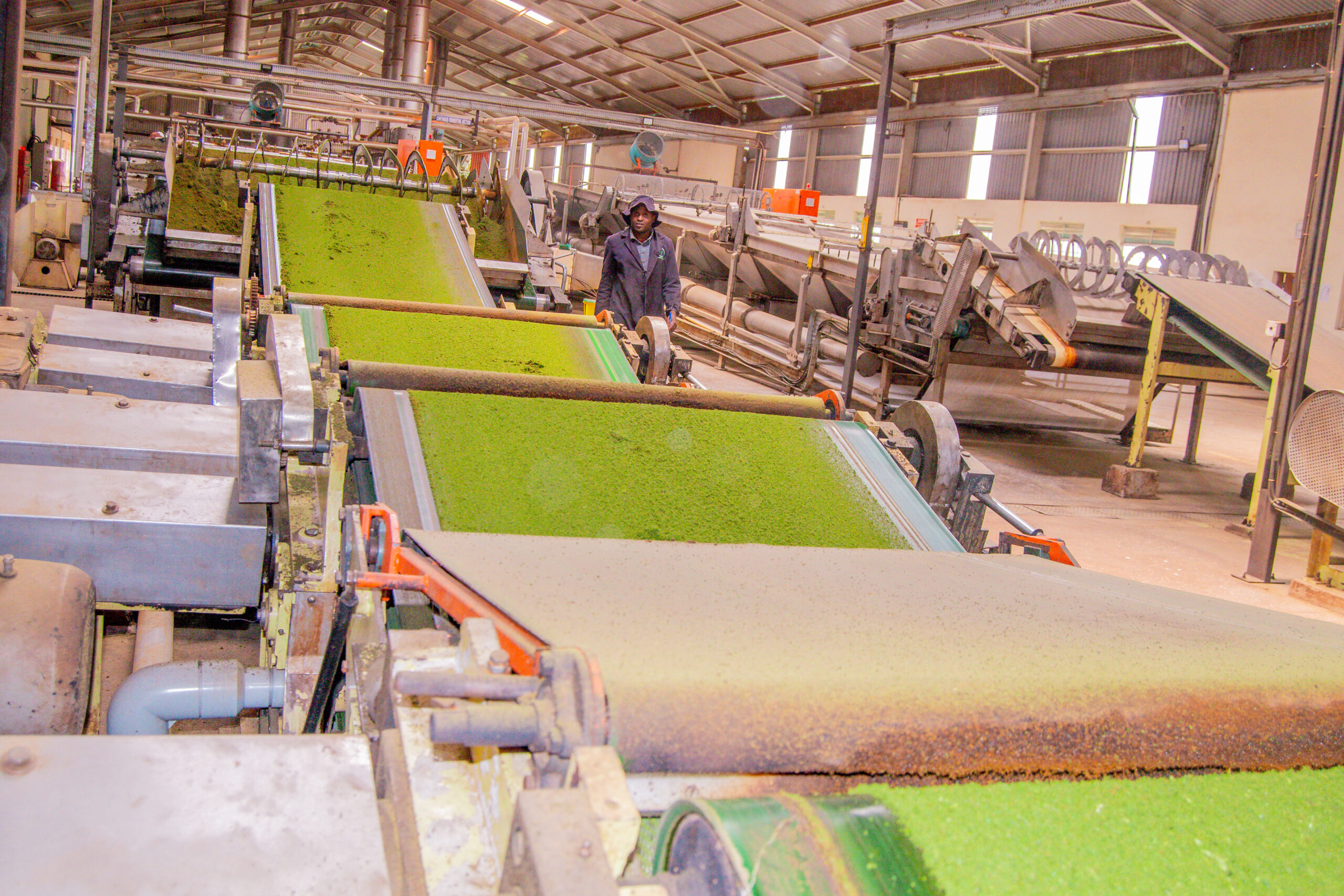 State of the art tea processing machinery - KIPSIGIS HIGHLANDS MCS LTD